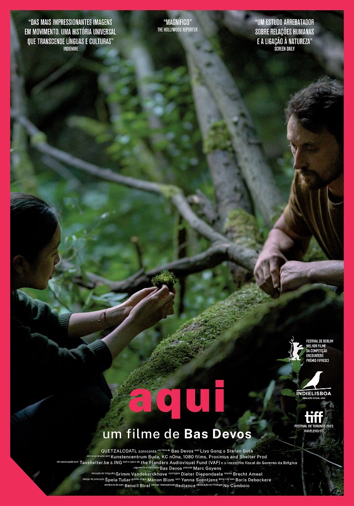 Aqui, a Crítica | O cineasta Bas Devos oferece-nos um carta de amor a ...